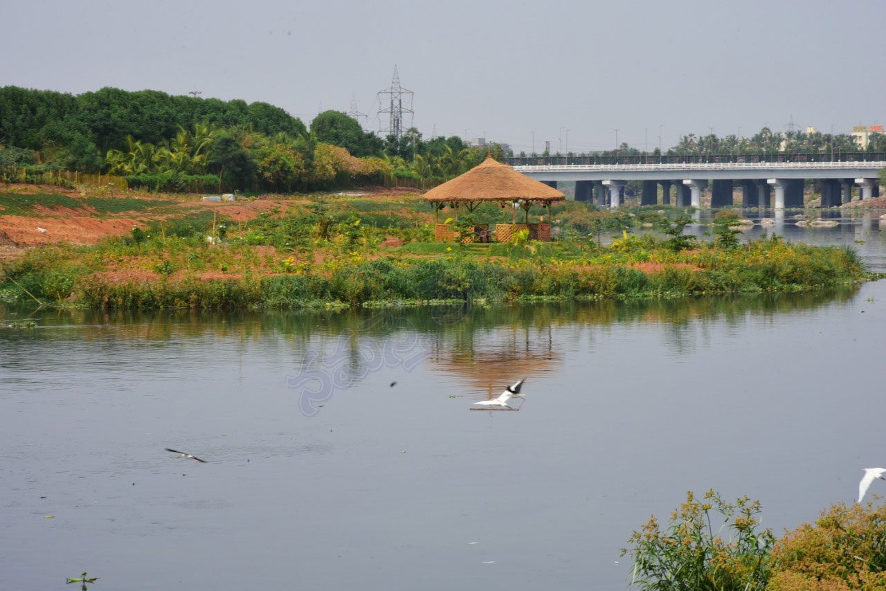 నాడు కంపు.. నేడు ఇంపు : మూసీ అందం చూశారా-Namasthe Telangana