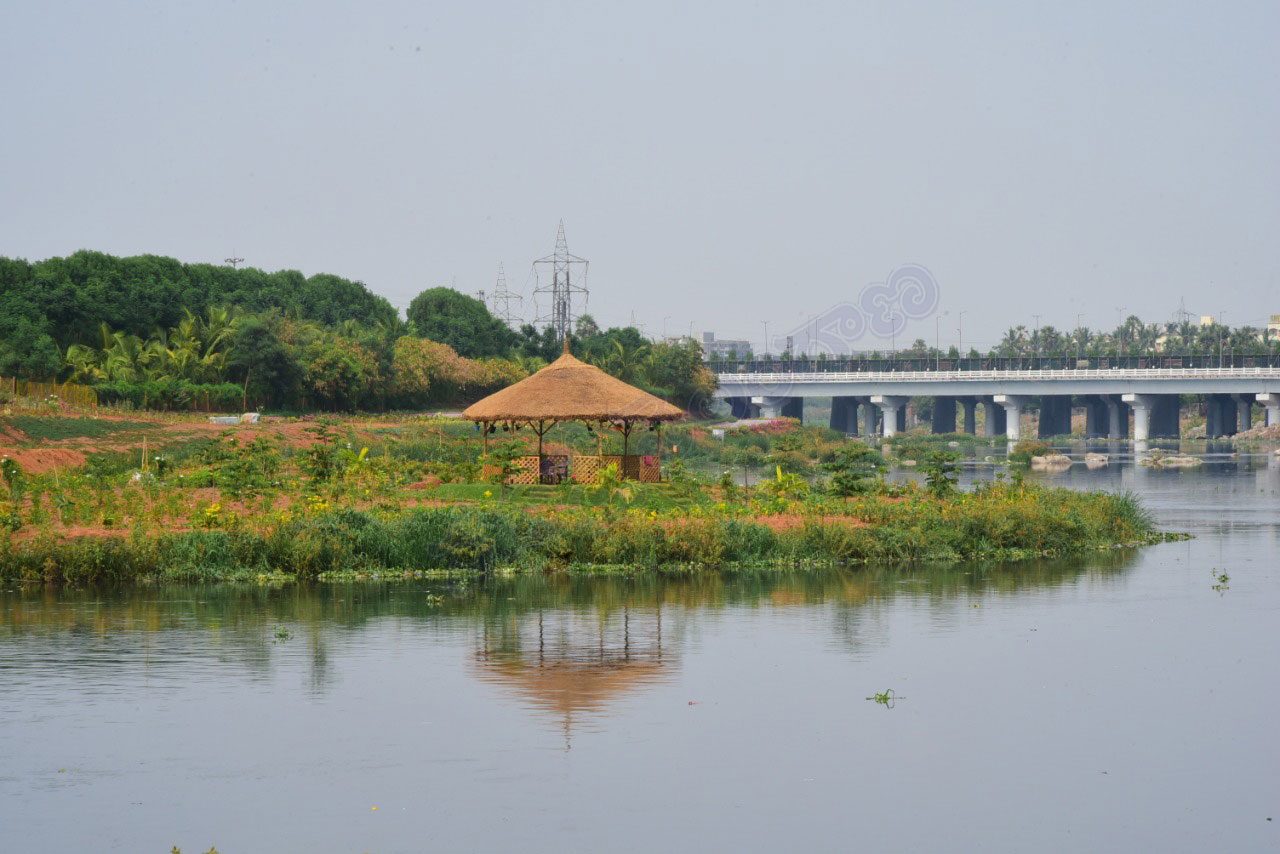నాడు కంపు.. నేడు ఇంపు : మూసీ అందం చూశారా-Namasthe Telangana