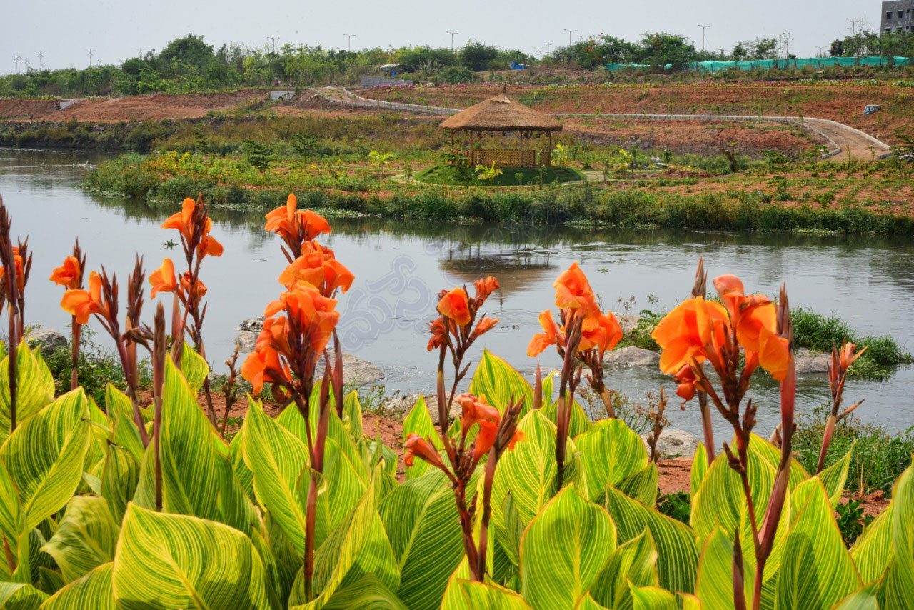 నాడు కంపు.. నేడు ఇంపు : మూసీ అందం చూశారా-Namasthe Telangana