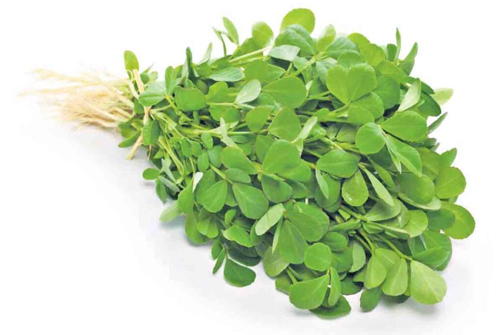 Fenugreek | వీటిని ఈ ర‌కంగా తింటే ఎన్ని లాభాలో..-Namasthe Telangana